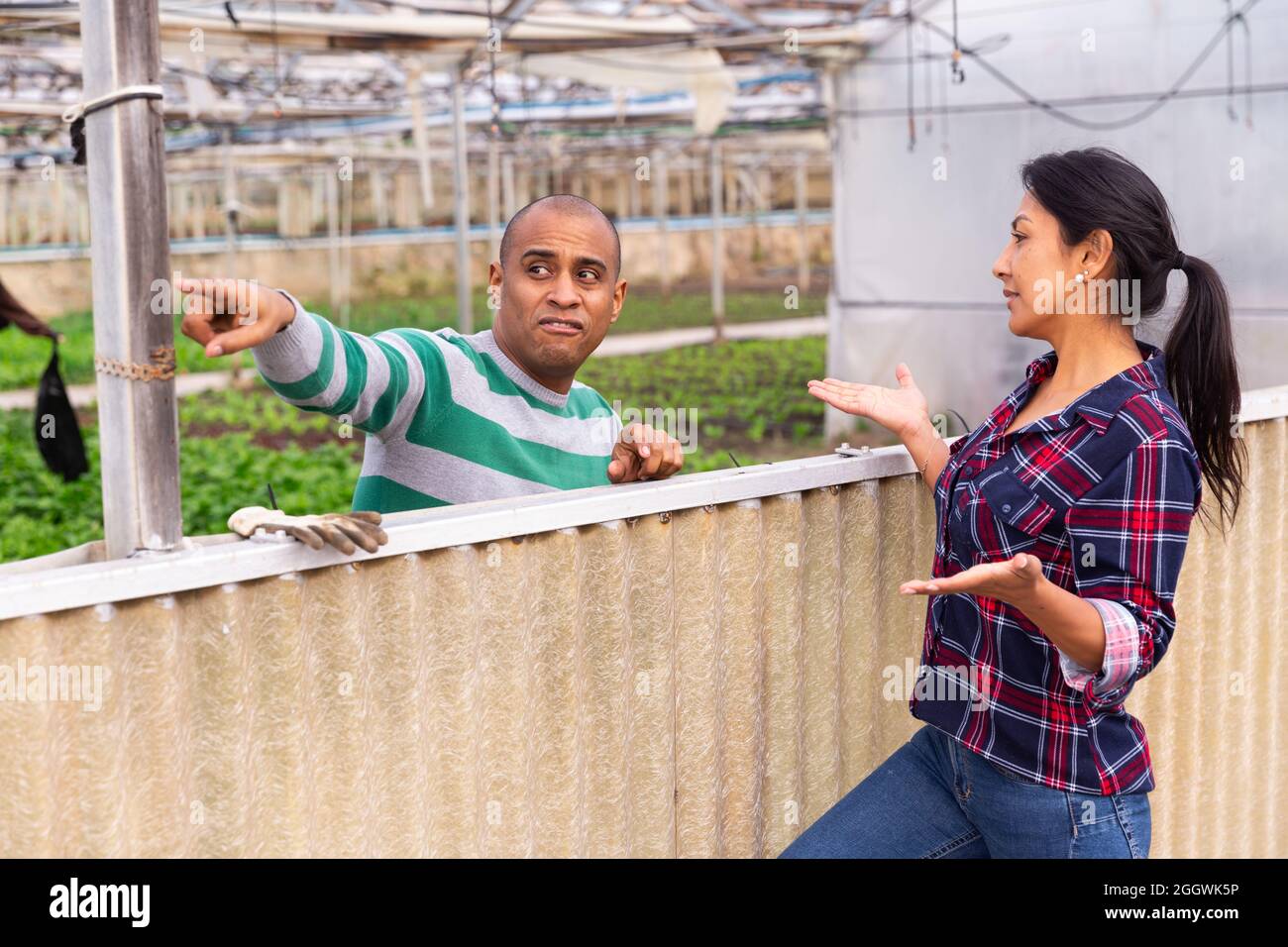 workers talking at vegetable plant factory Stock Photo - Alamy