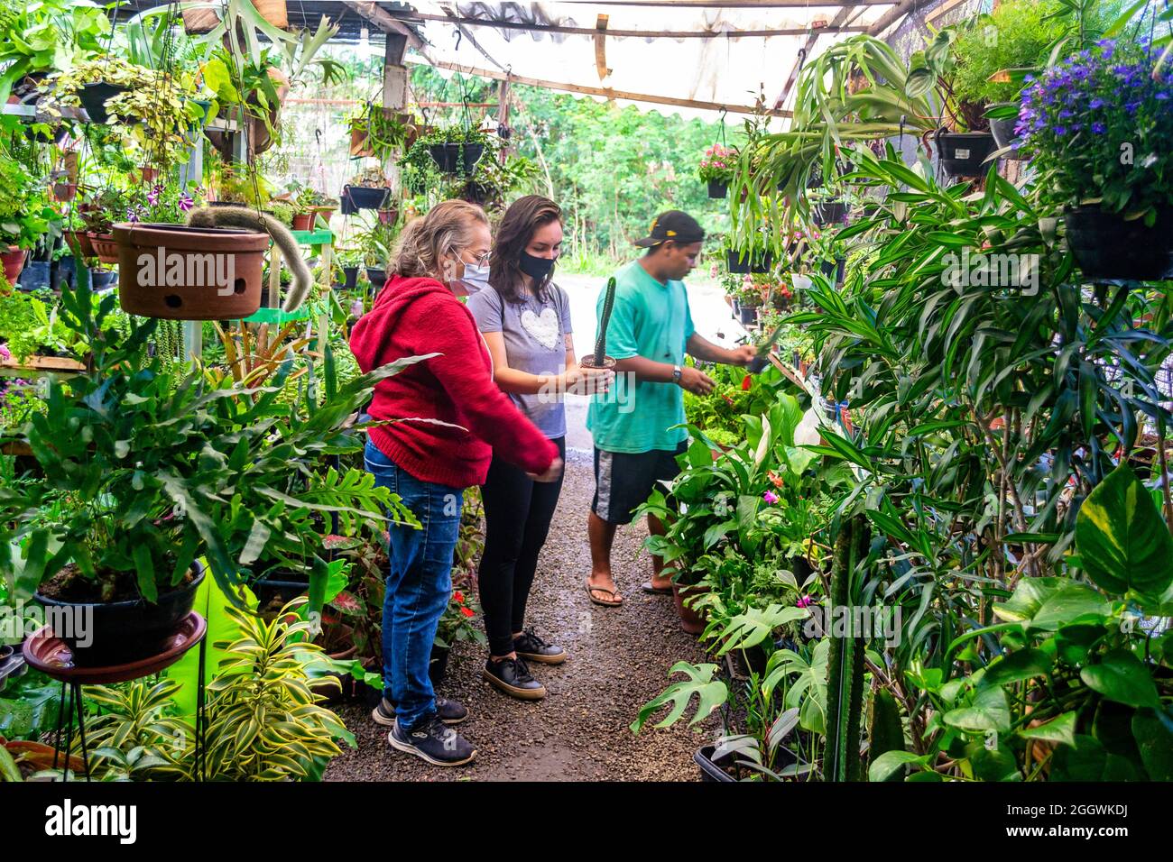 Daytime images of Brazil Stock Photo - Alamy