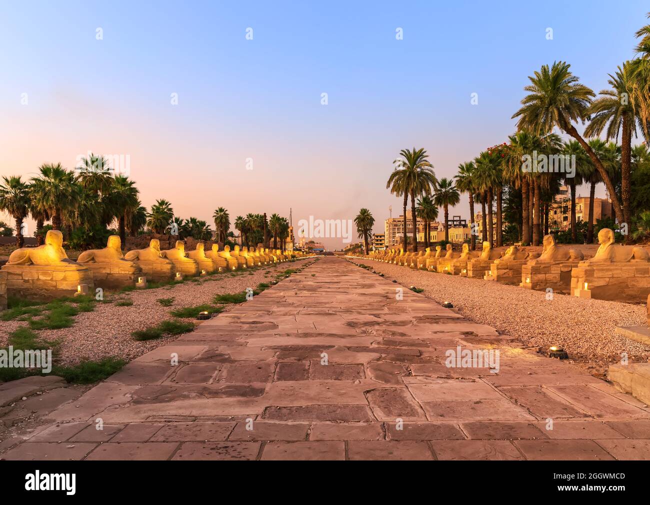 Luxor city, Sphinx alley evening view, Egypt Stock Photo - Alamy
