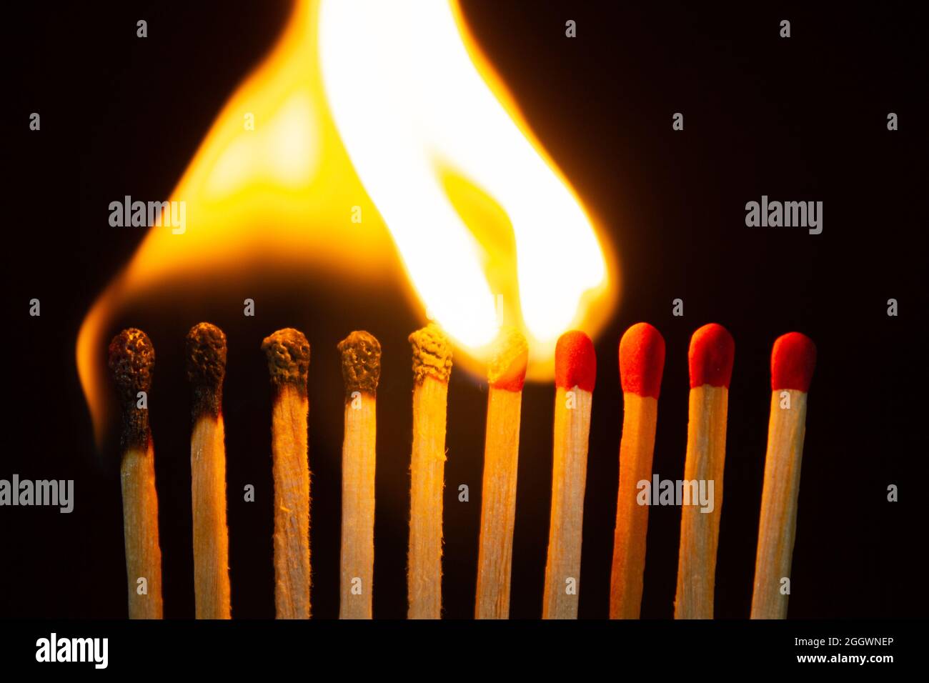 Group of red match burning isolated on black background. Row Burning In ...