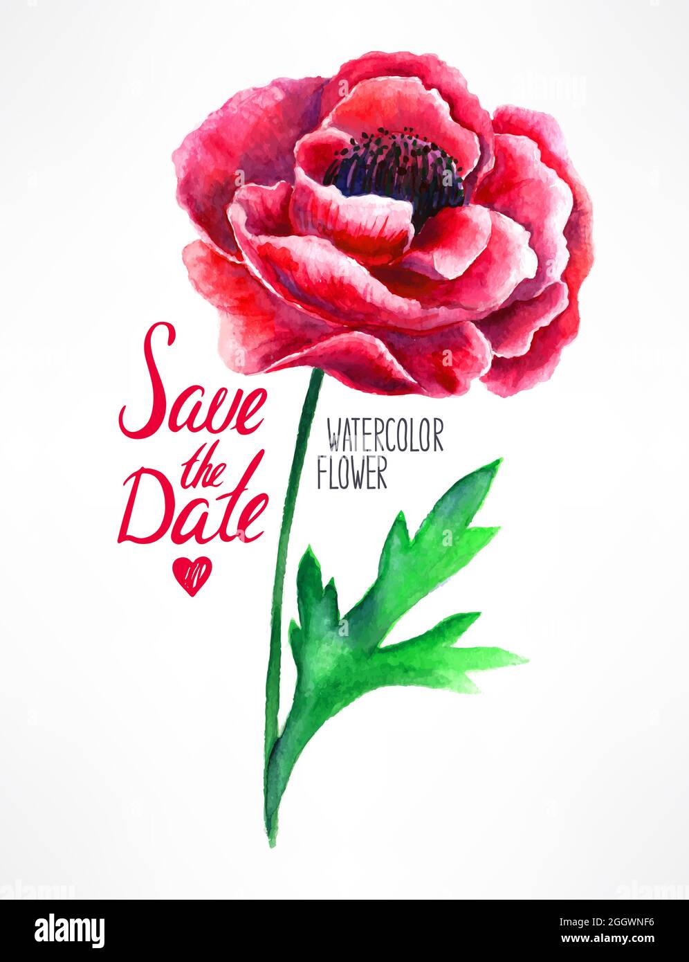 beautiful red poppy watercolor. hand-drawn illustration Stock Vector ...