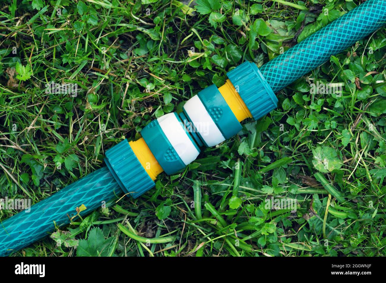 Garden irrigation hoses connected with a modern plastic hose connector ...