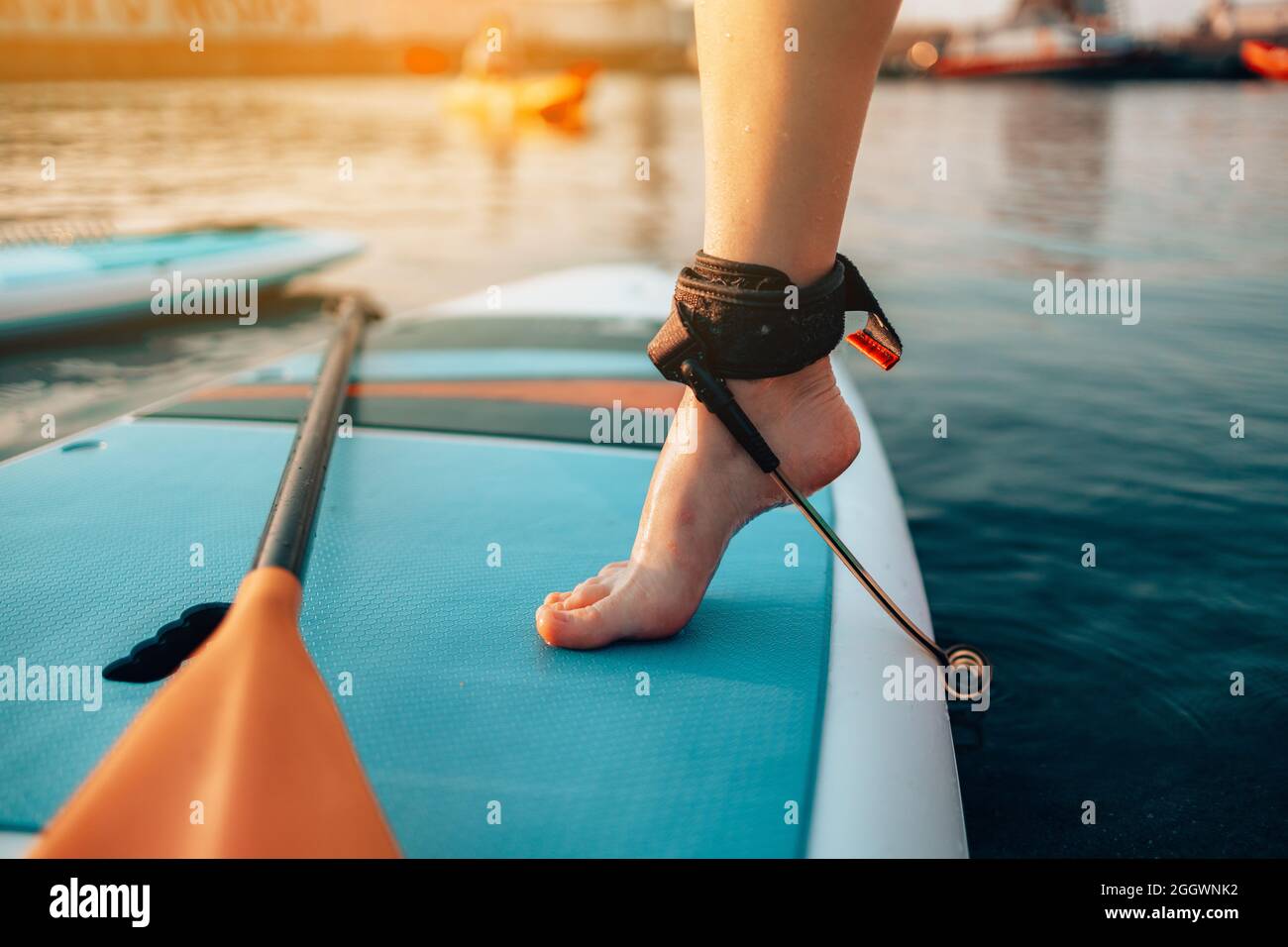 Girl paddle board standing hi-res stock photography and images - Alamy