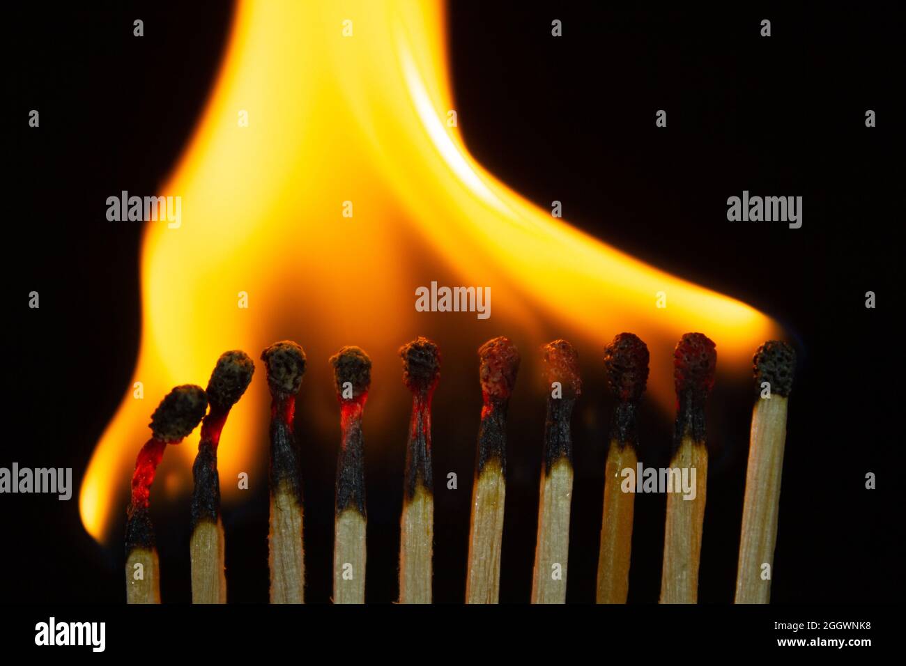 Group of red match burning isolated on black background. Row Burning In ...