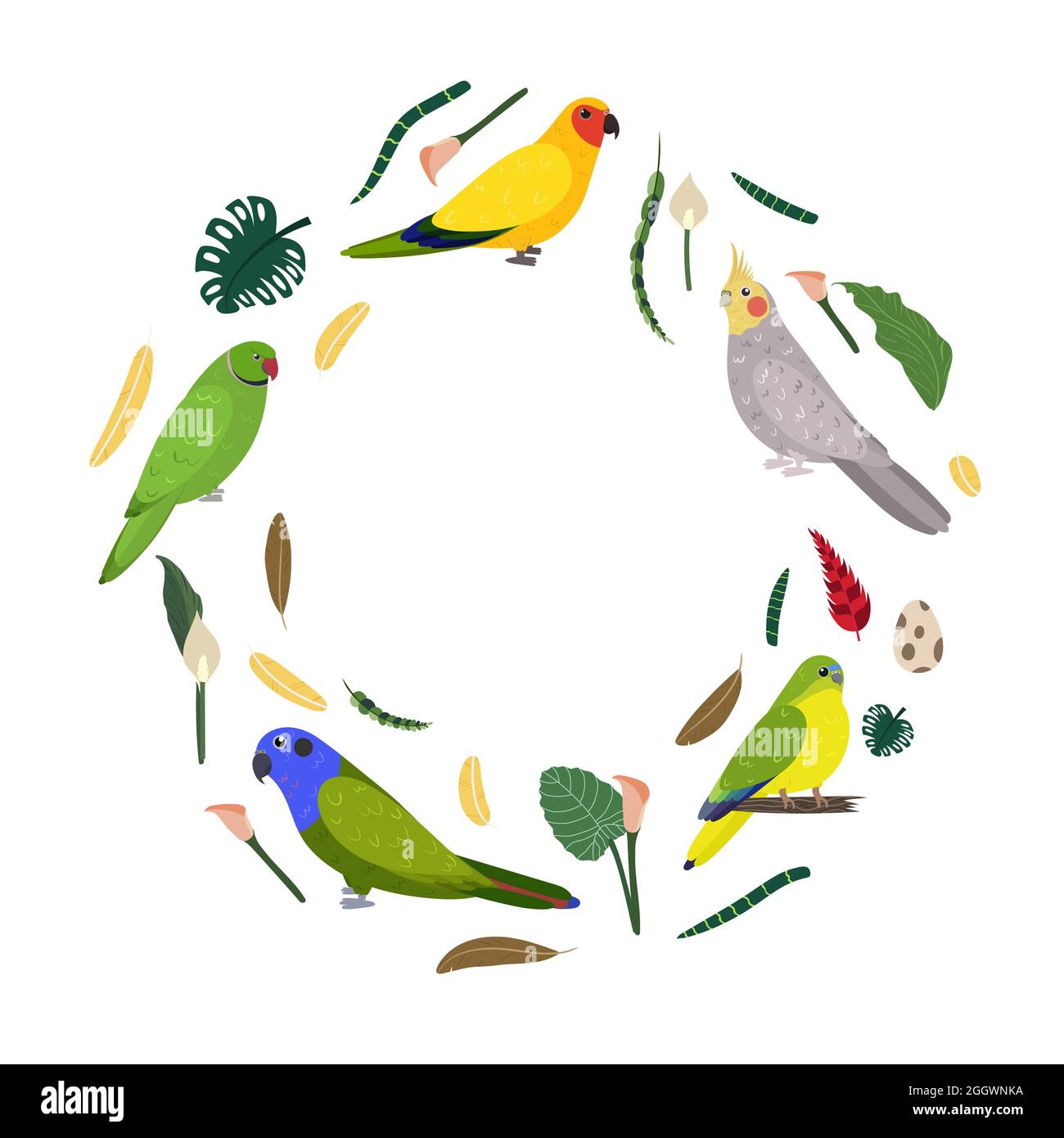 Design template with parrots in circle for kid print. Round composition ...