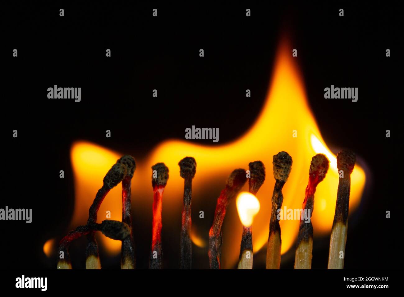 Group of red match burning isolated on black background. Row Burning In ...