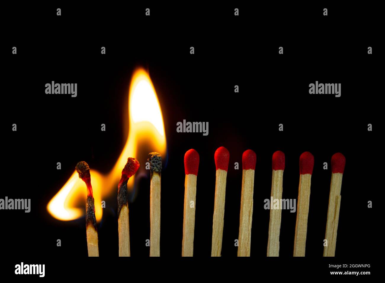Group of red match burning isolated on black background. Row Burning In ...