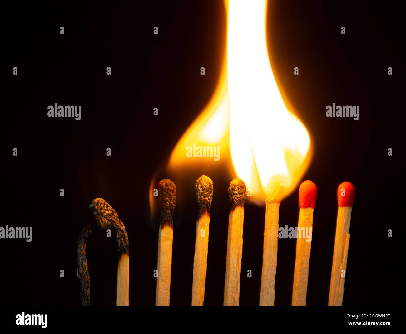 Group of red match burning isolated on black background. Row Burning In ...
