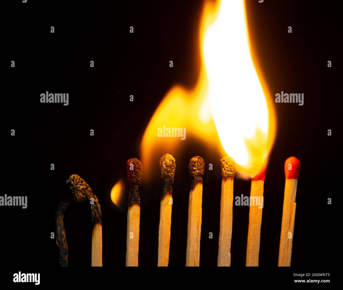 Group of red match burning isolated on black background. Row Burning In ...