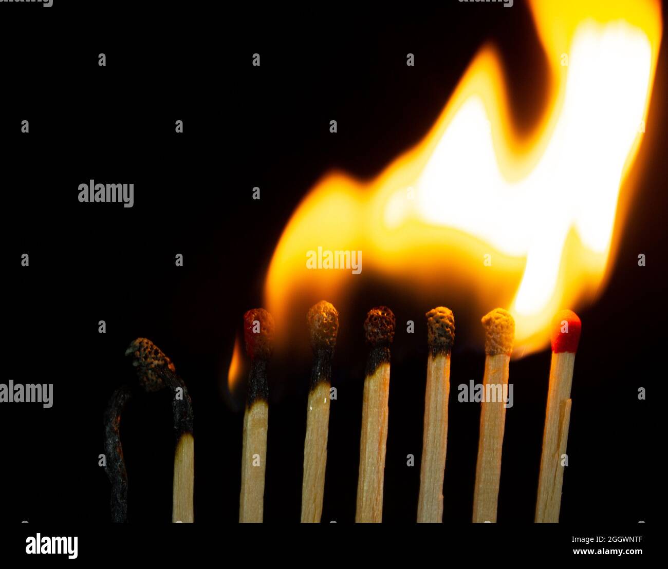 Group of red match burning isolated on black background. Row Burning In ...