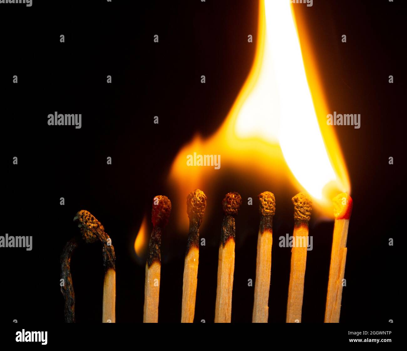 Group of red match burning isolated on black background. Row Burning In ...