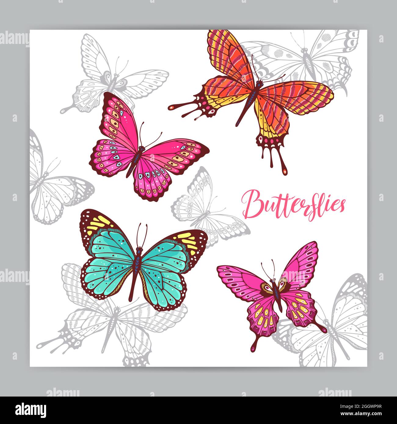 Drawings Of Butterflies And Roses