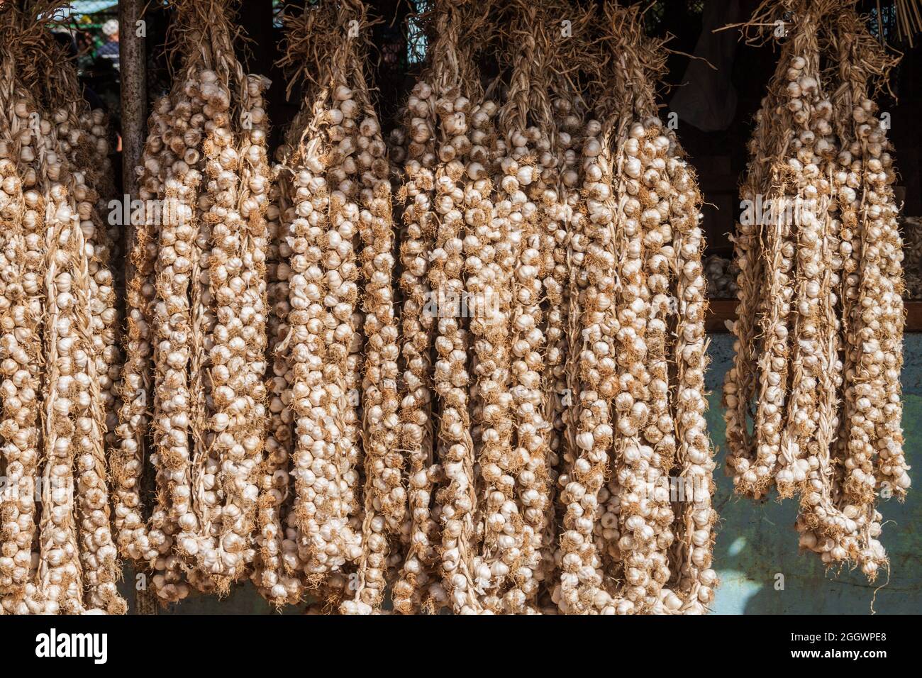 Bunches of a garlic at the Mercado Agropeculario (Agriculture Market ...