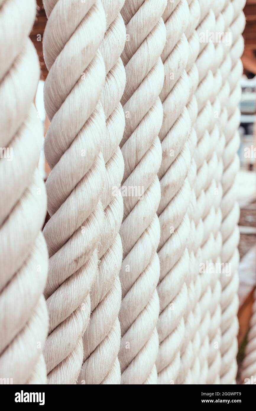 Strong white ropes weigh upright on white background Stock Photo - Alamy