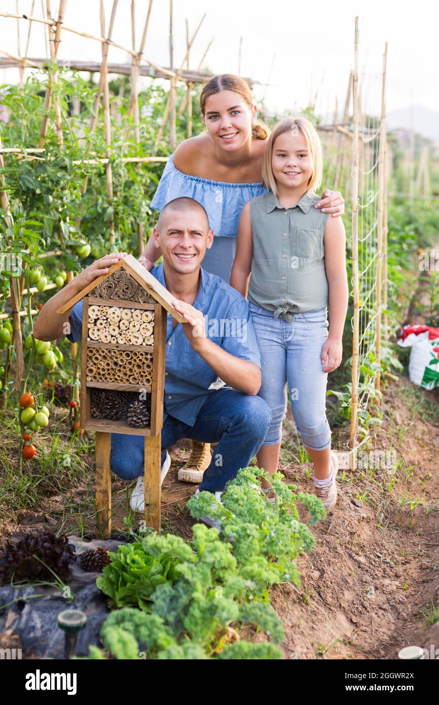 Family and insect hotel Stock Photo - Alamy