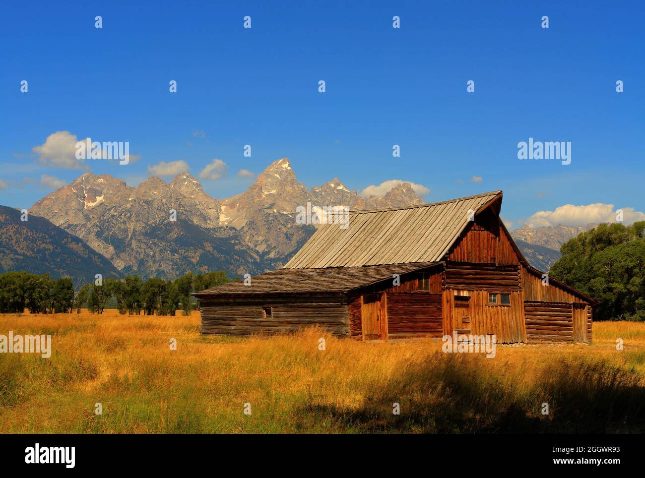 Mormon bar hi-res stock photography and images - Alamy