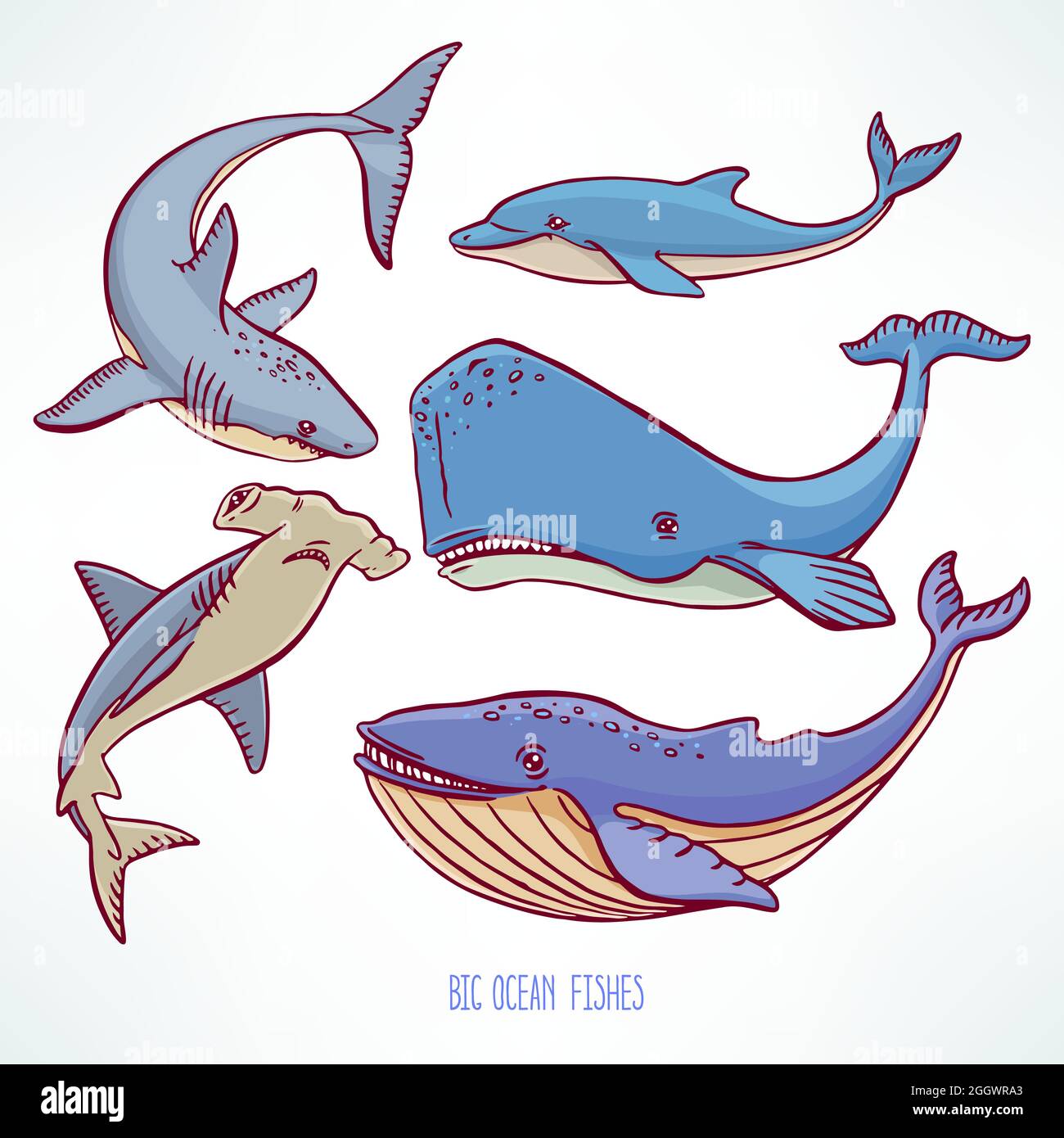 Set of large ocean creatures. hand-drawn illustration Stock Vector ...