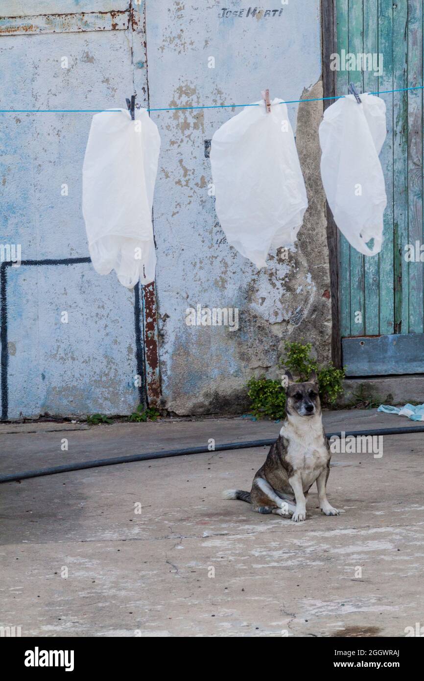 Plastic revolution hi-res stock photography and images - Alamy