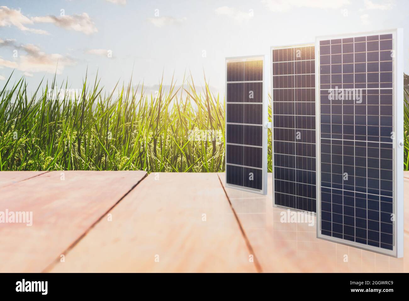 Solar power panel and landscape of rice field with wooden floor Stock ...