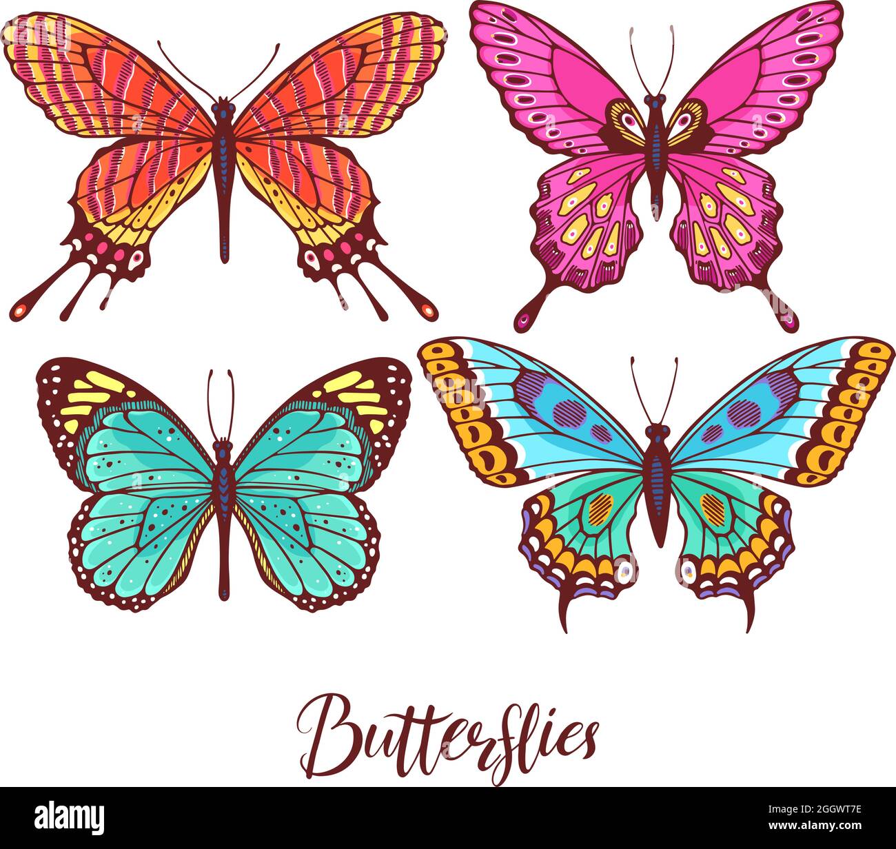 beautiful set of colorful butterflies. hand-drawn illustration Stock ...
