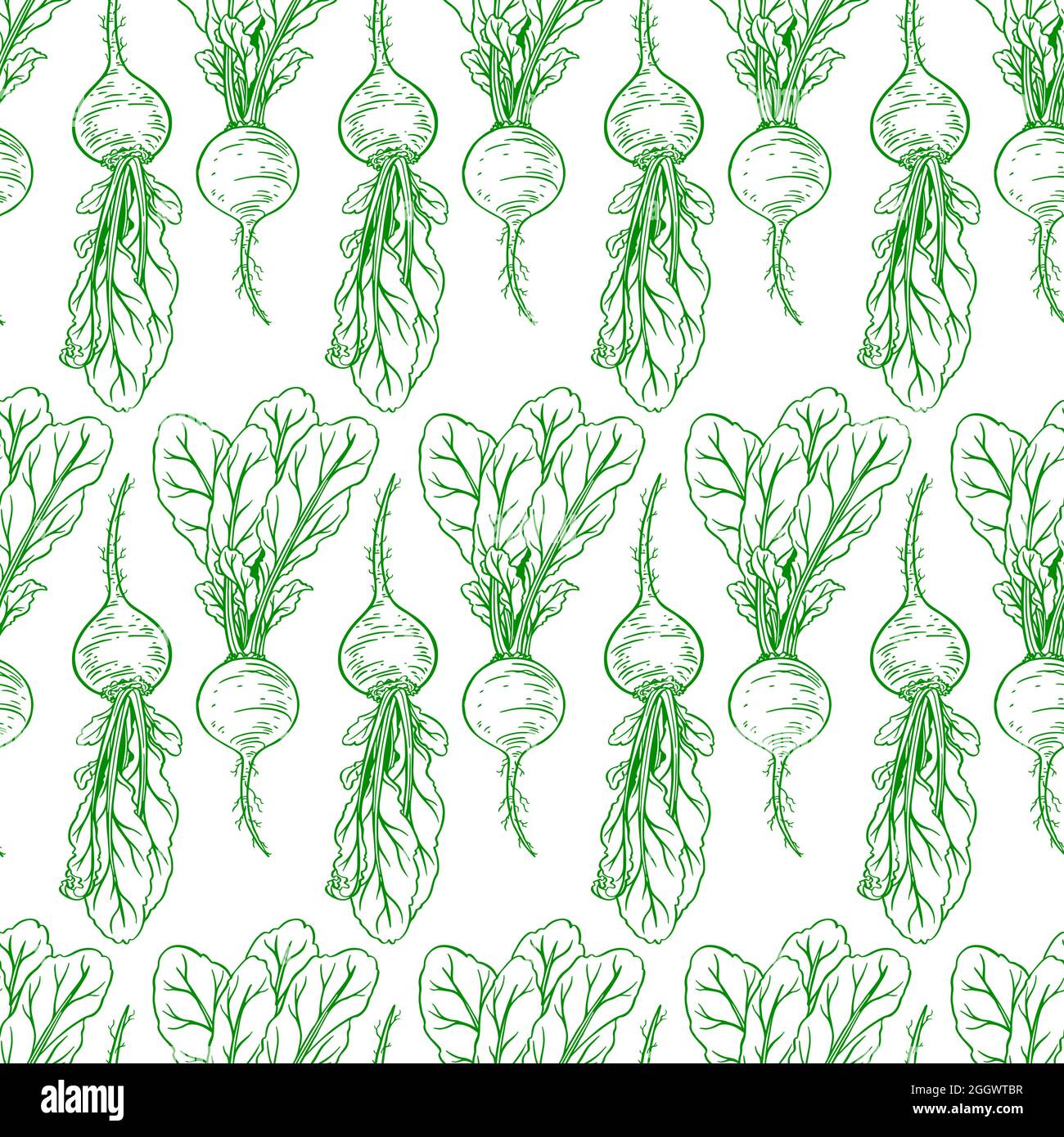 cute seamless background of ripe radish. hand-drawn illustration Stock ...