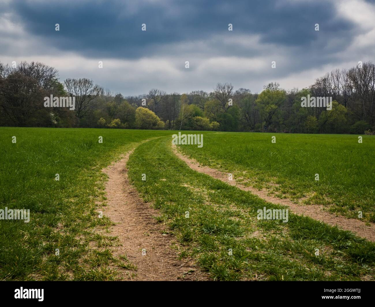 Beautiful and amazing symmetry of the cultivated field. These lines are ...