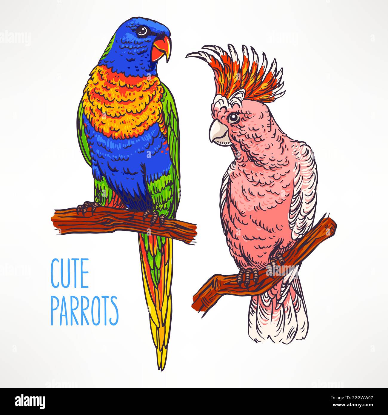 Two beautiful exotic colorful parrot. hand-drawn illustration Stock ...