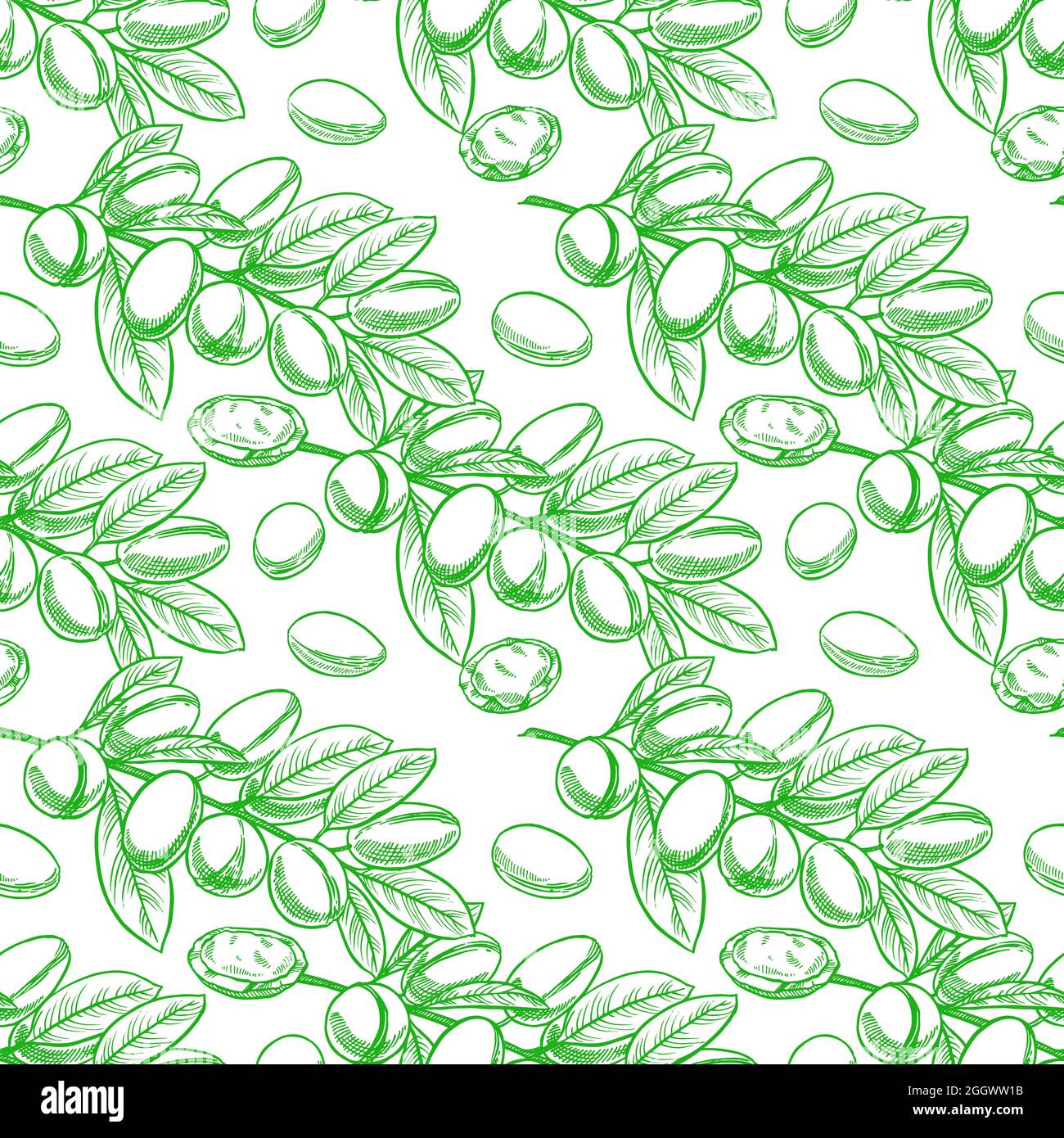 seamless green background of Argan tree branches with fruits. hand ...