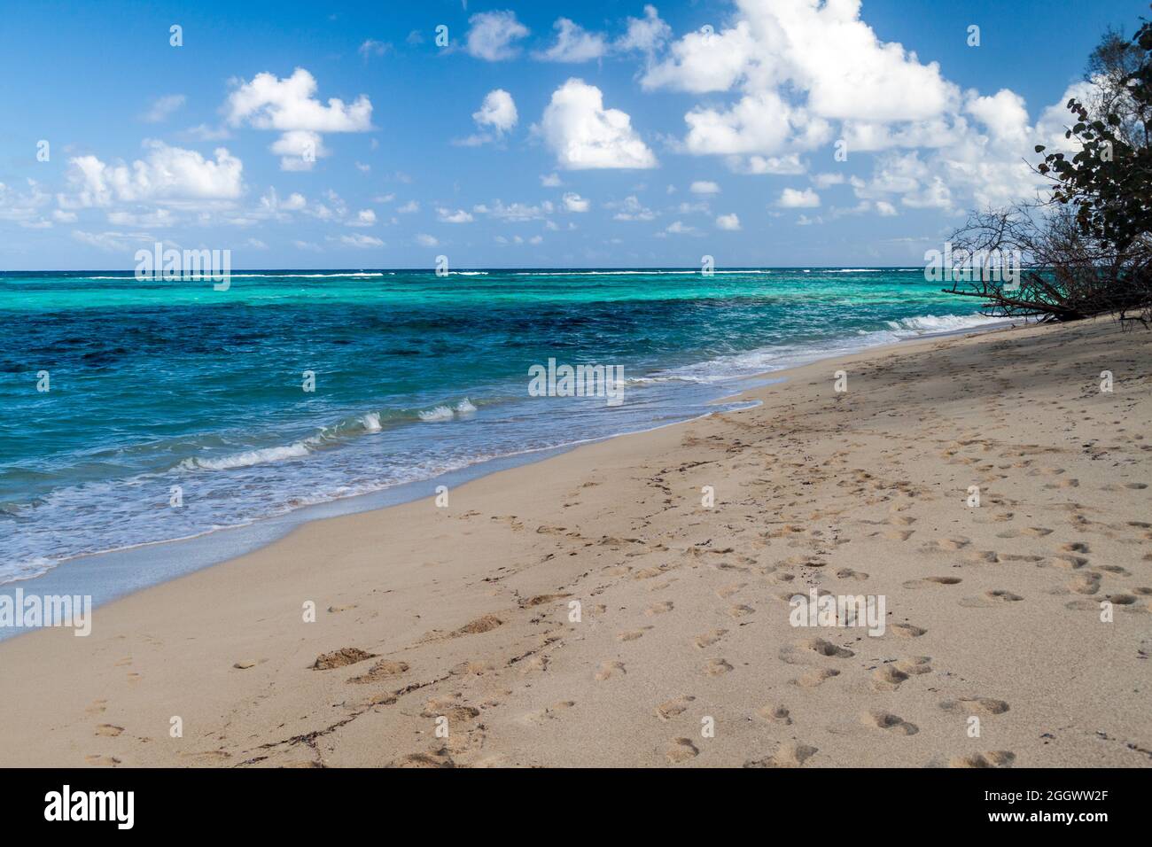 Playa Maguana beach near Baracoa, Cuba Stock Photo - Alamy