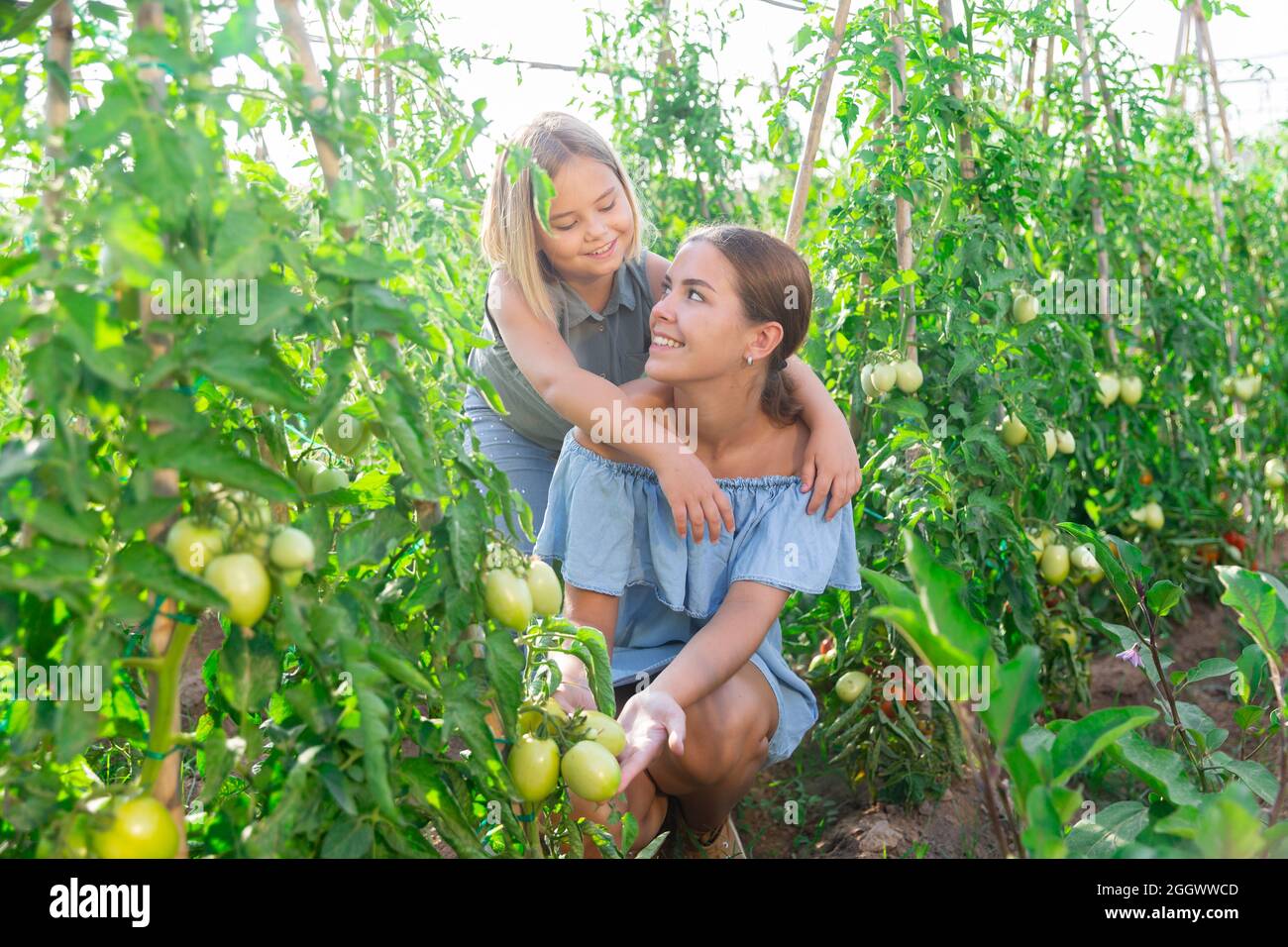 Teenage daughter helps mom look after tomato sprouts in garden Stock ...