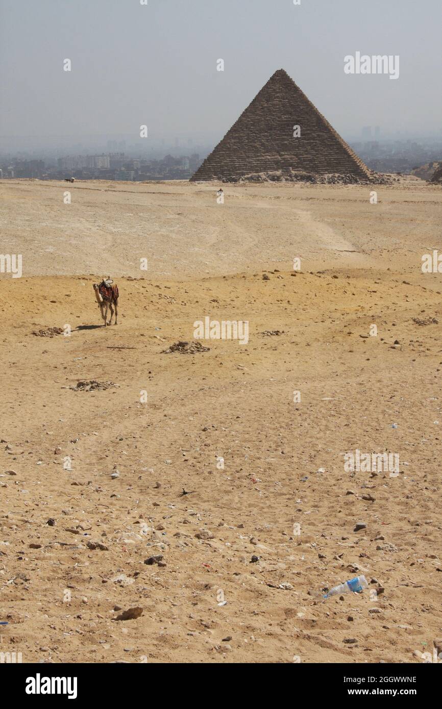 Giza pyramids in Cairo, Egypt. General view of pyramids from the Giza ...