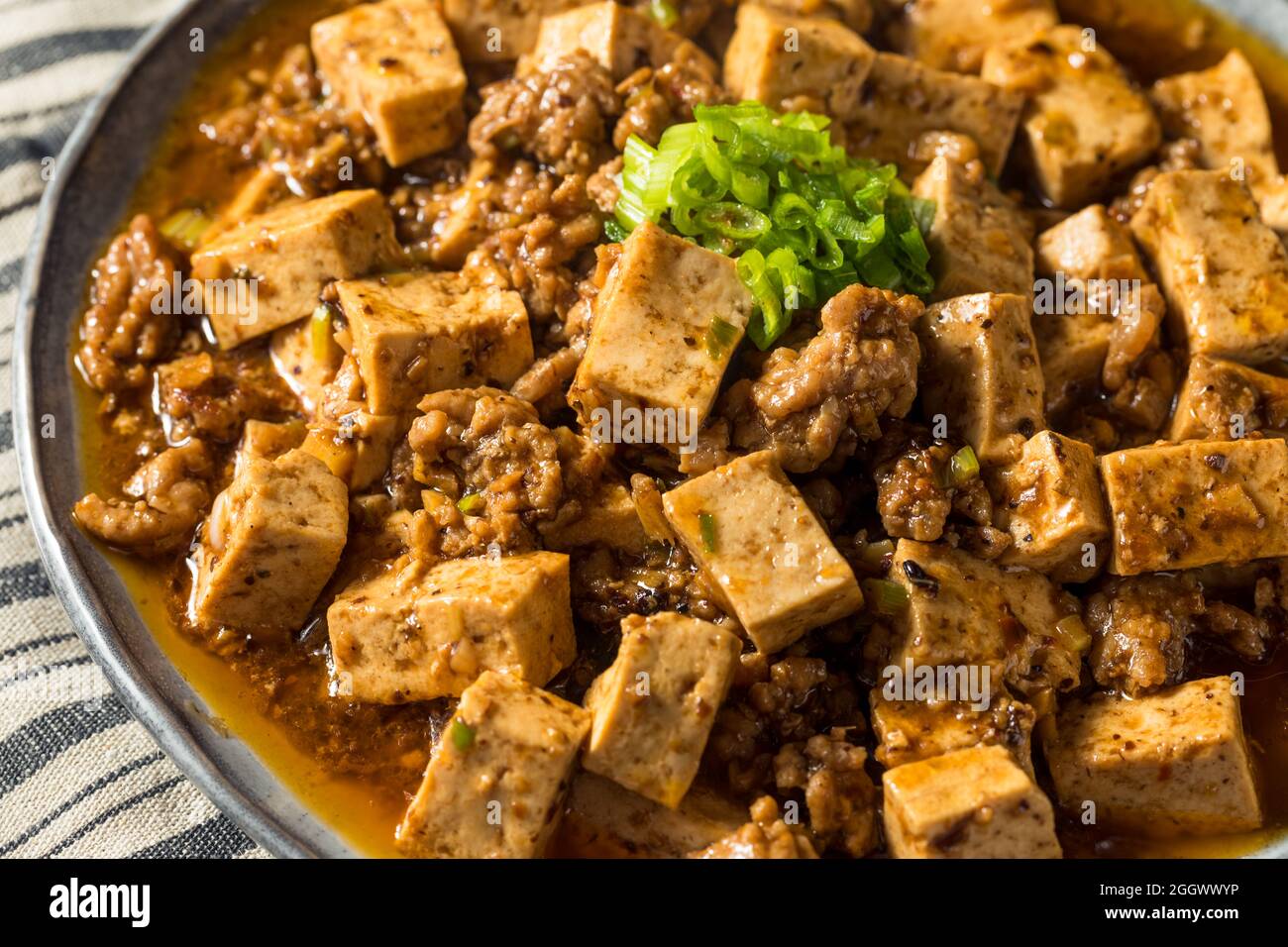 Homemade Chinese Mapo Tofu with Pork and Scallions Stock Photo - Alamy