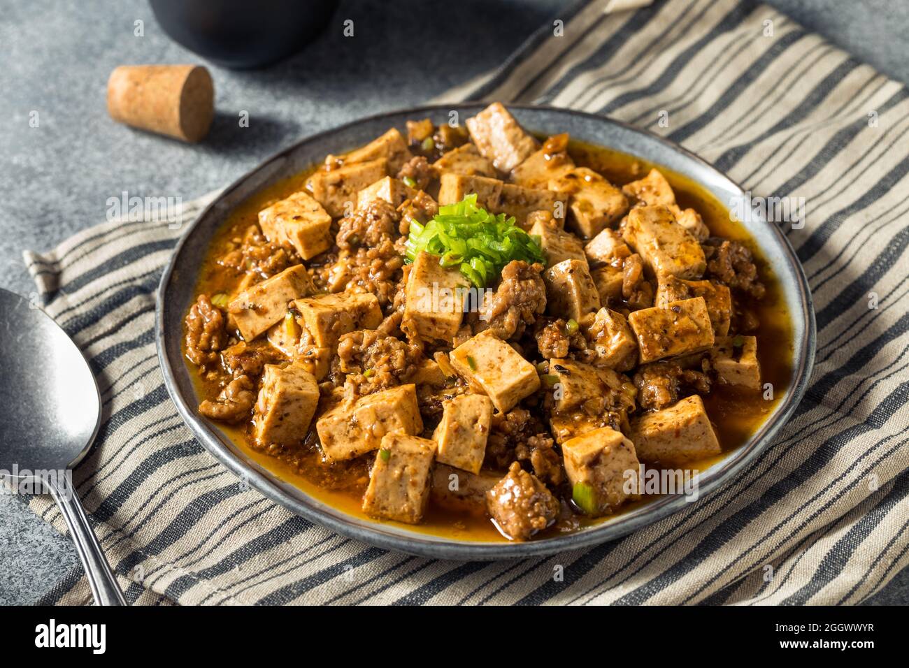 Homemade Chinese Mapo Tofu with Pork and Scallions Stock Photo - Alamy