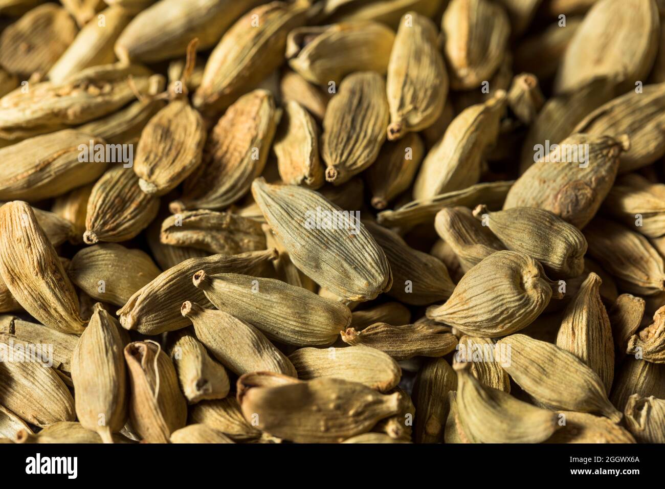 Cardamon seed pod hi-res stock photography and images - Alamy
