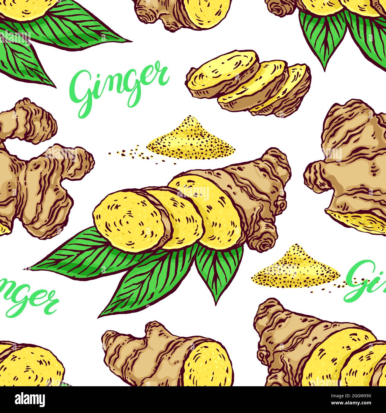 beautiful seamless background of ginger. hand-drawn illustration Stock ...