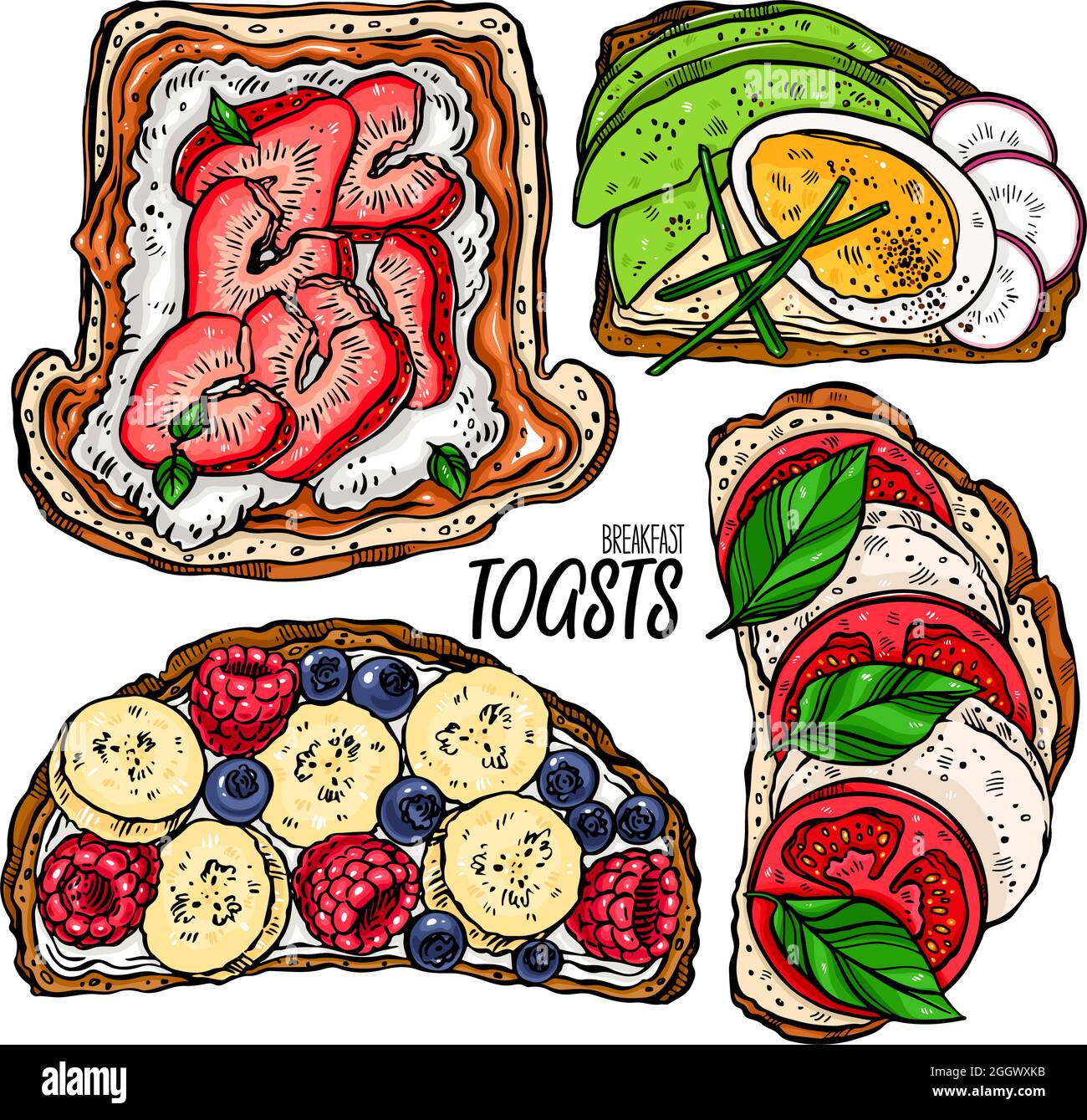 delicious set of different breakfast toasts. hand drawn illustration ...