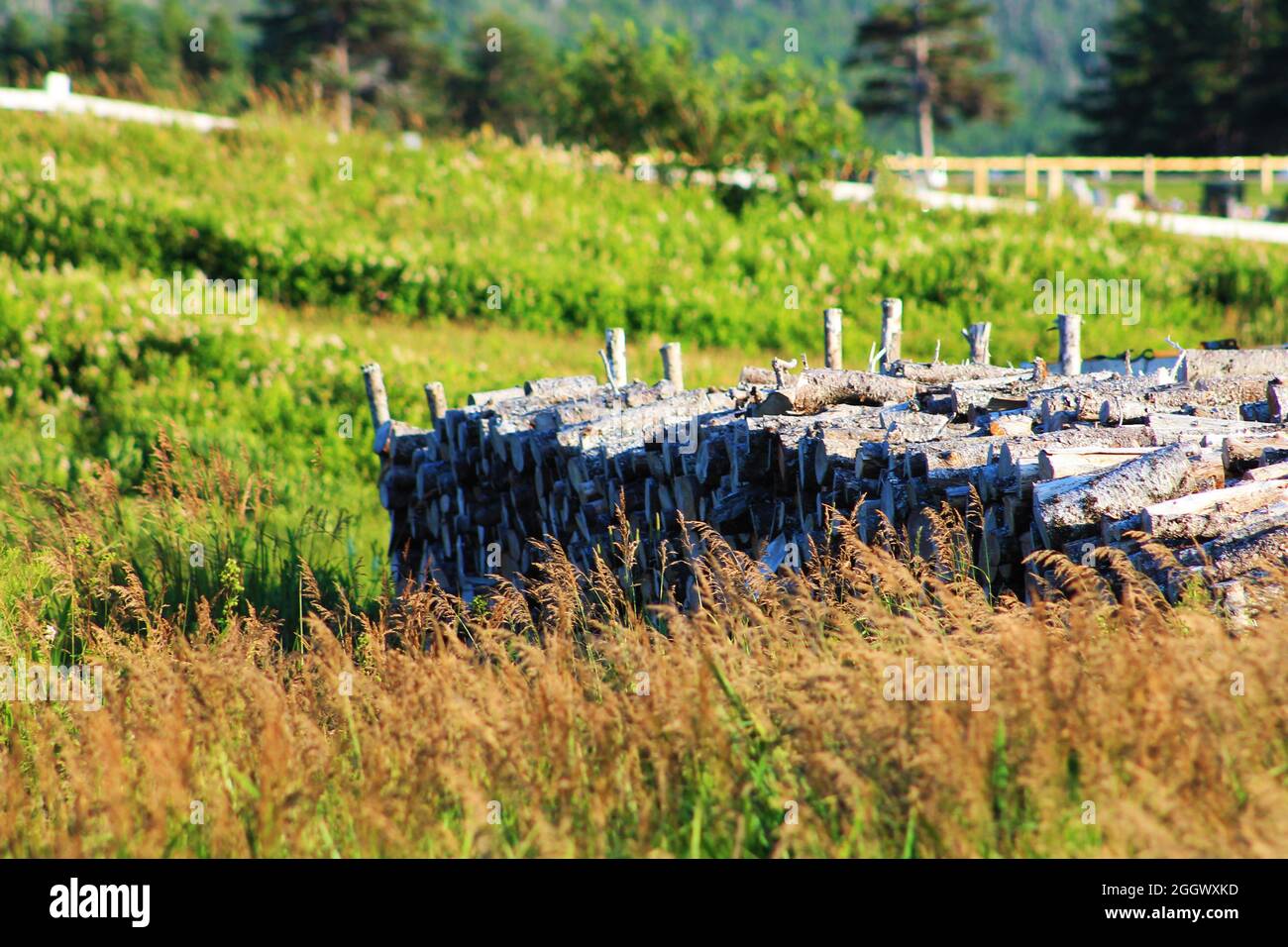 Cordwood hi-res stock photography and images - Alamy