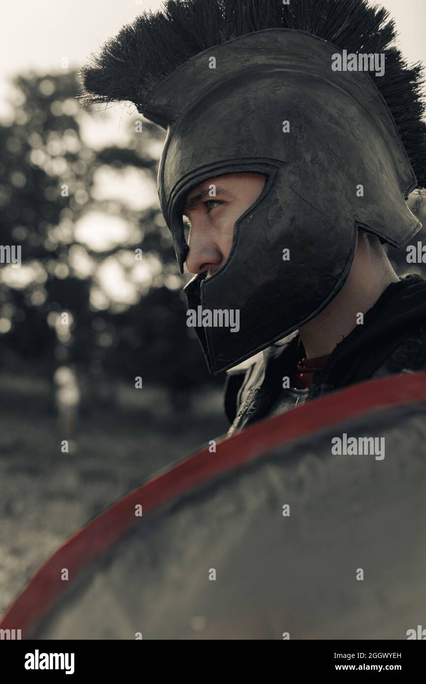 Portrait of ancient Spartan warrior in helmet with shield Stock Photo ...
