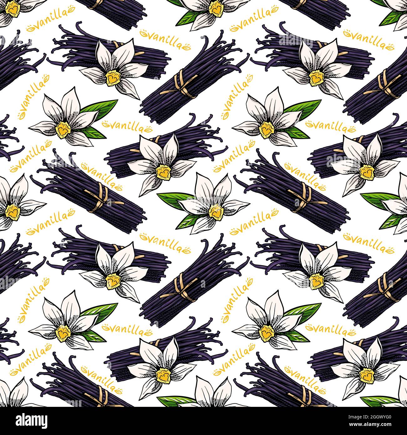 cute seamless background of hand-drawn vanilla Stock Vector Image & Art ...