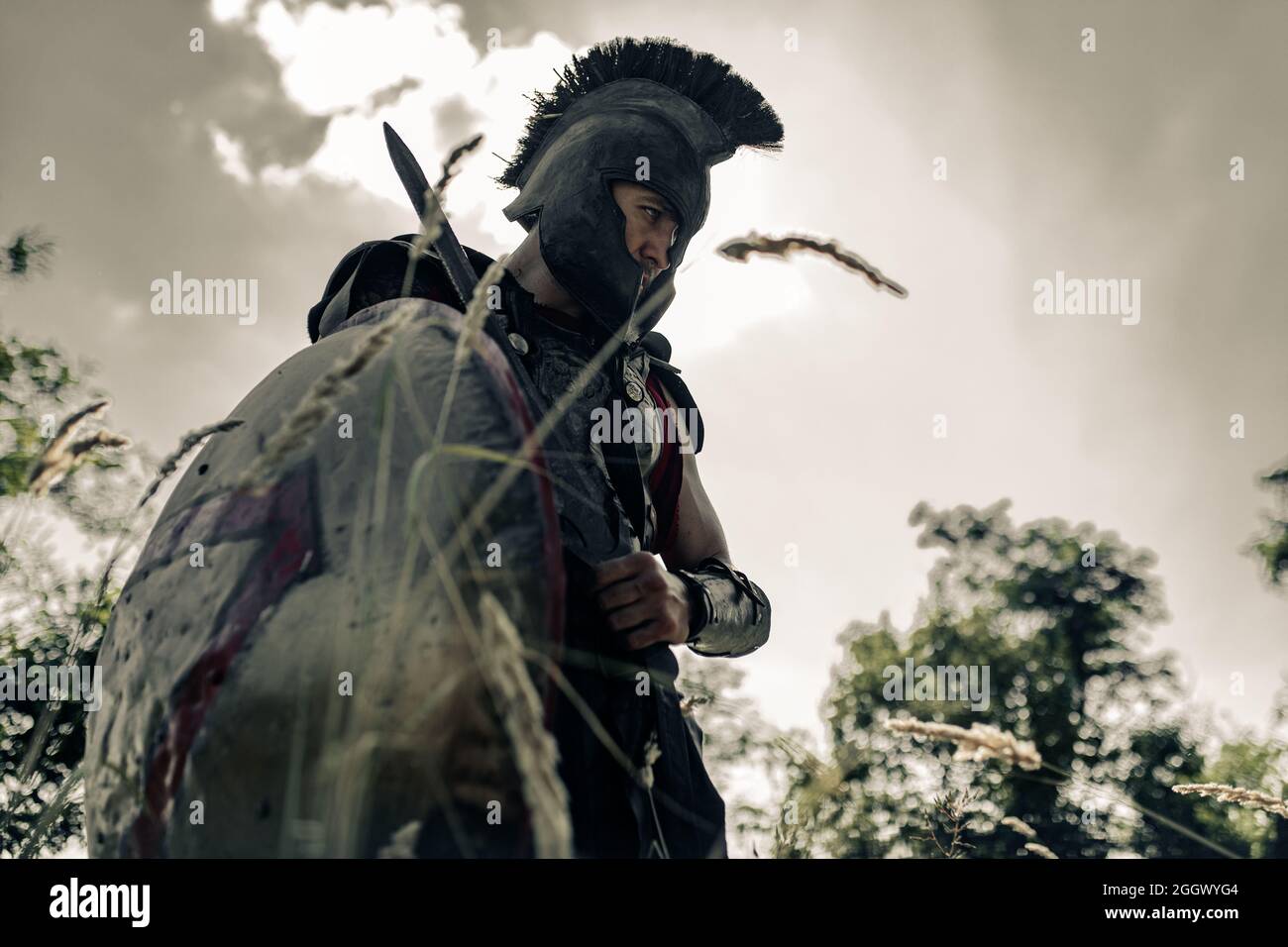 Ancient Spartan warrior in battle dress stands among meadow with shield ...