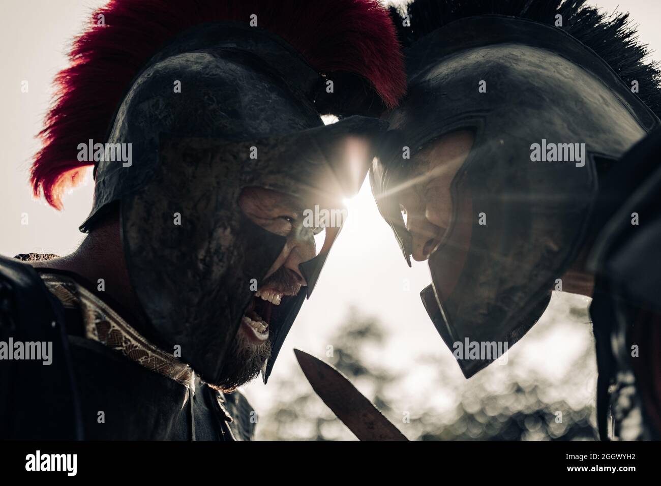 Duel between two screaming in rage ancient greek warriors in battle ...