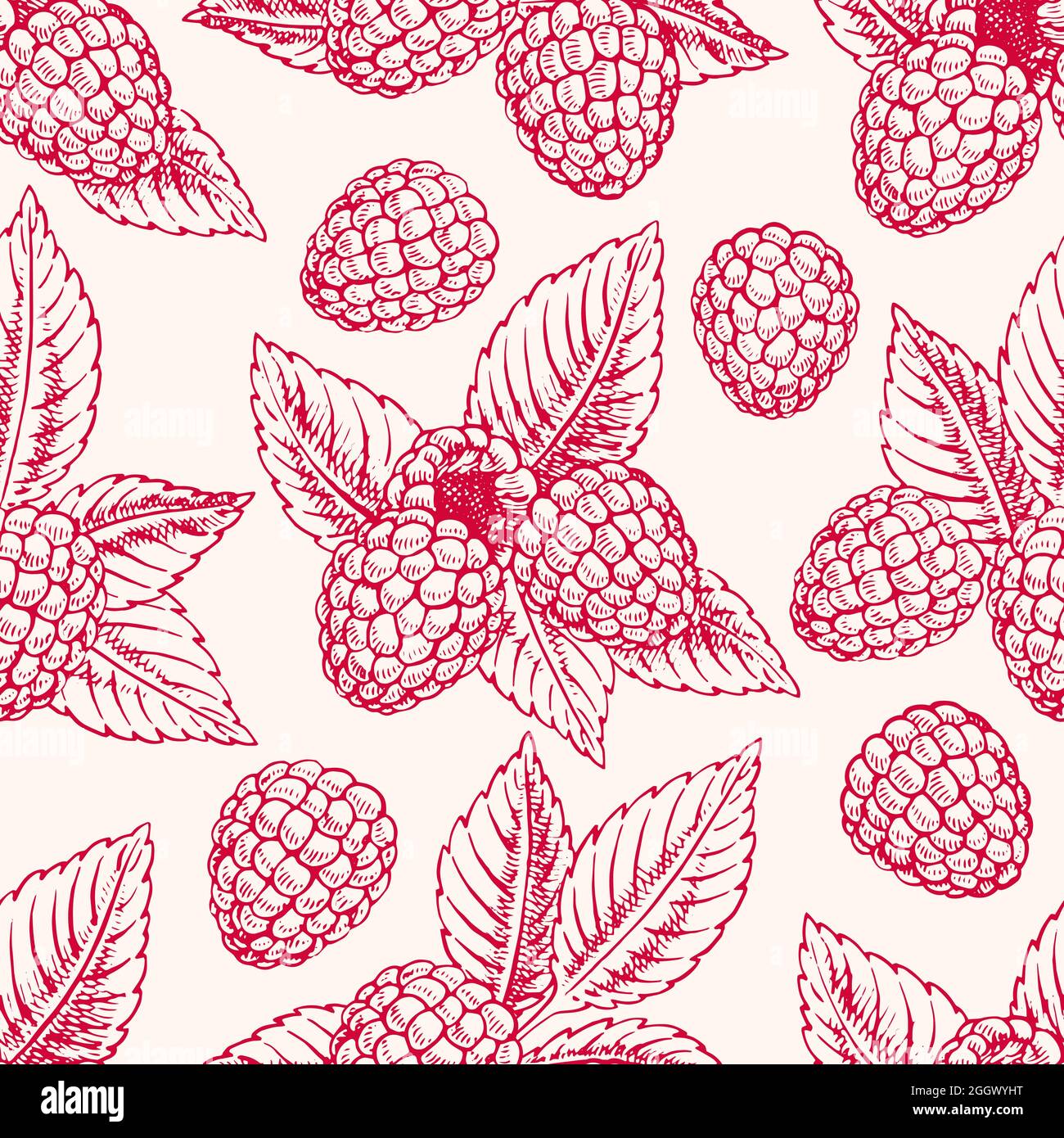 Cute seamless background with ripe pink raspberries and leaves. hand ...