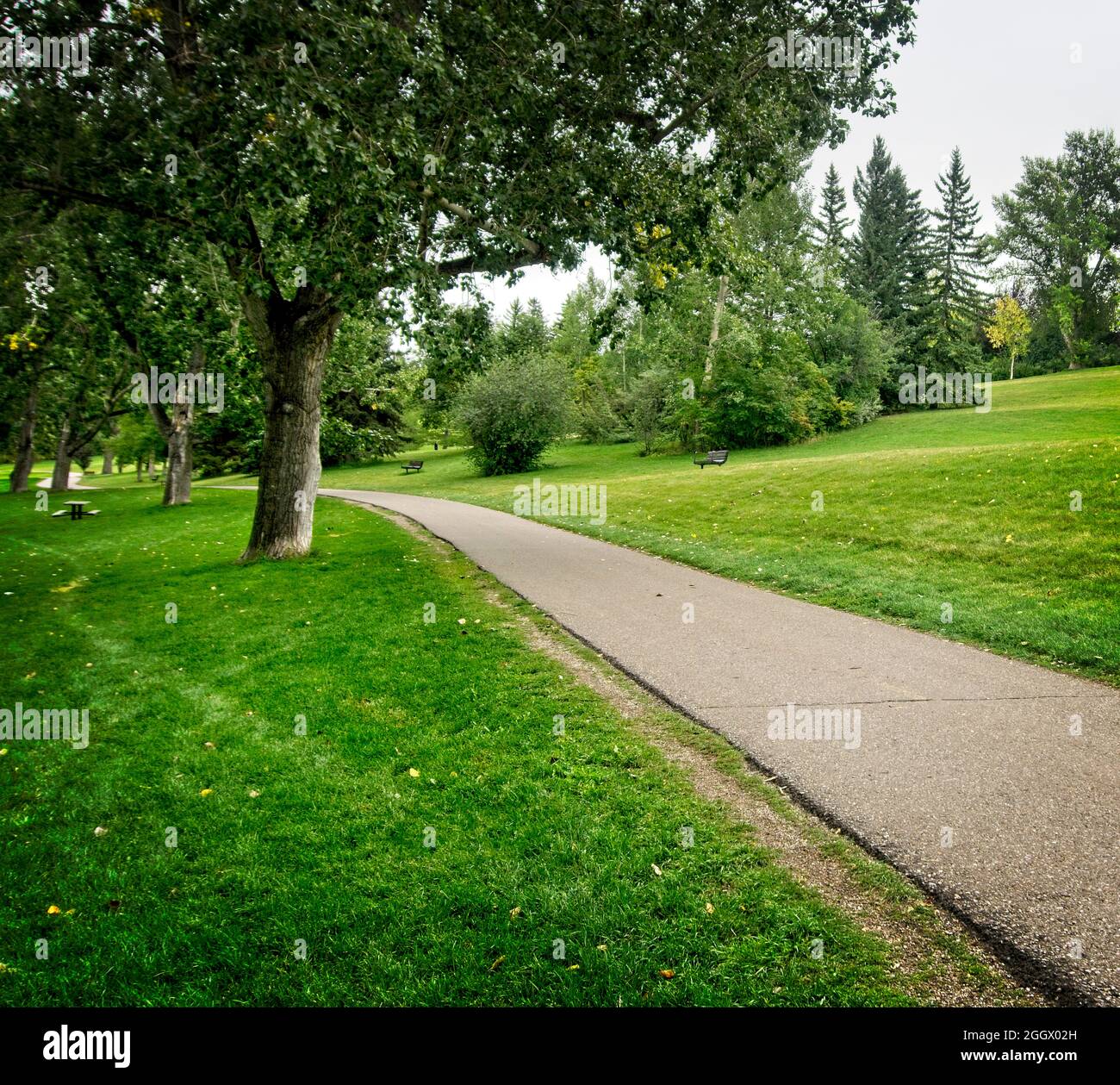 Confederation trail hi-res stock photography and images - Alamy
