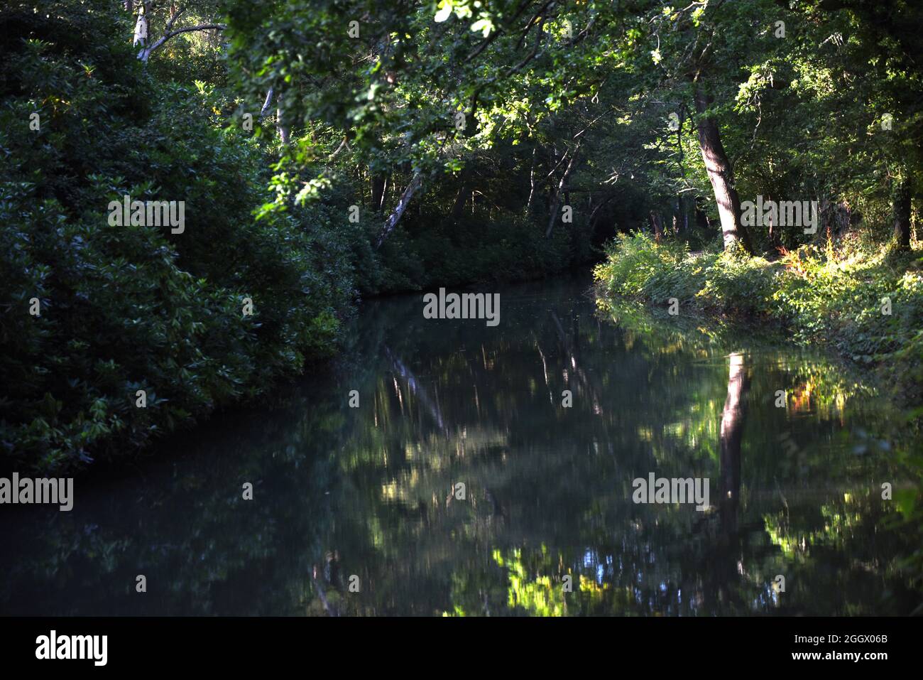 Views summer around Dogmersfield along the beautiful Basingstoke Canal ...