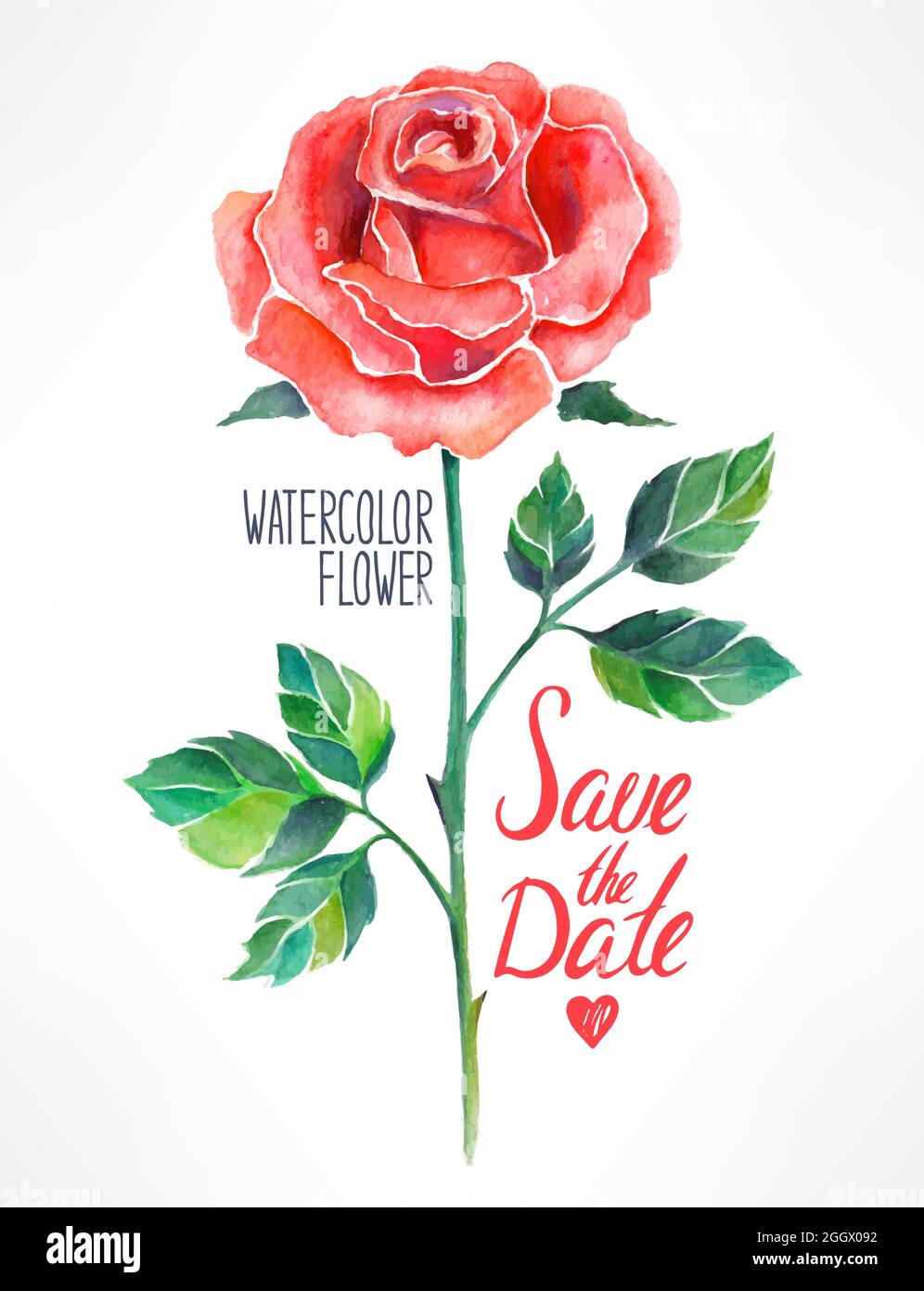 Beautiful red rose Stock Vector Images - Alamy