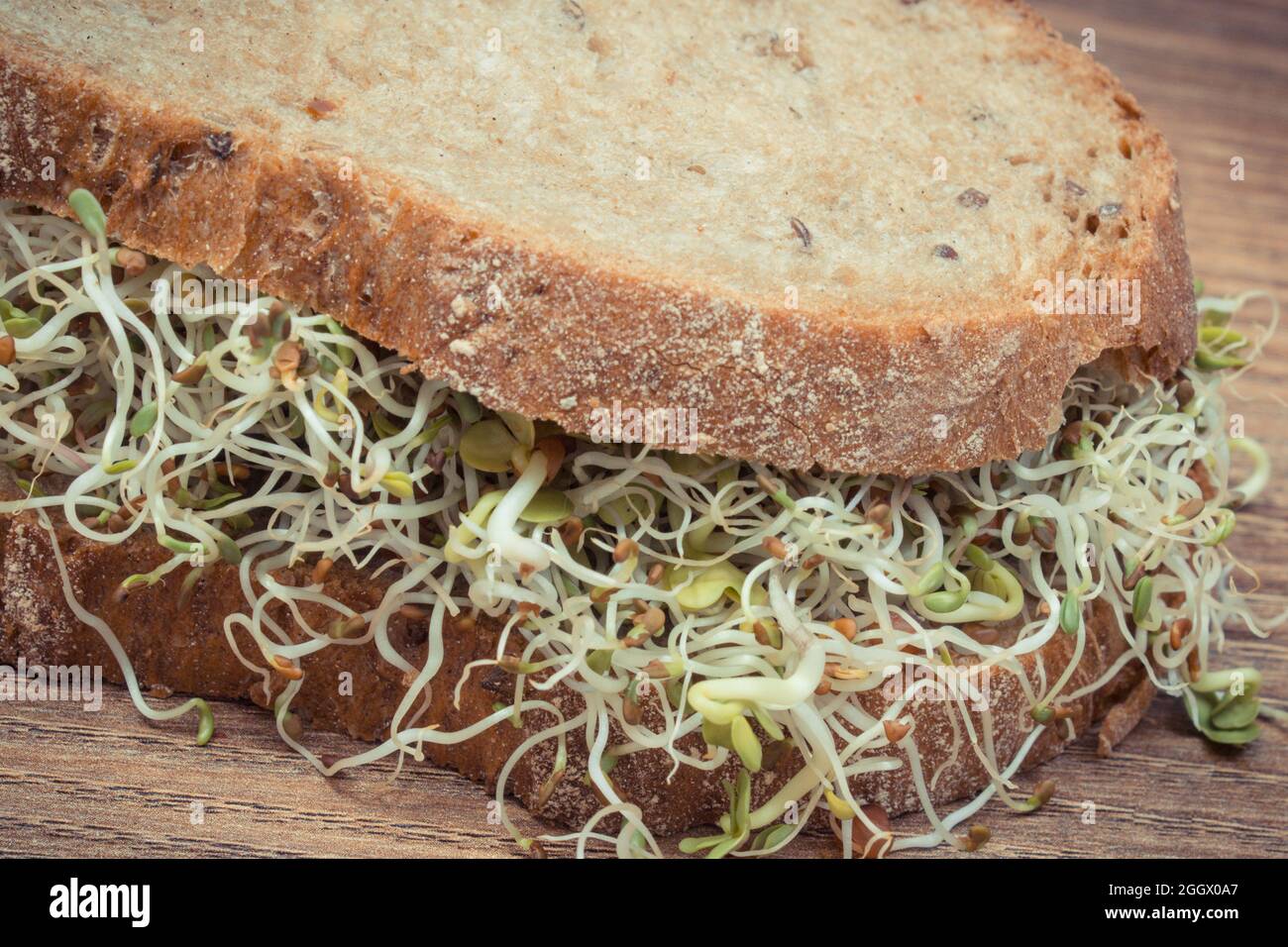 Alfalfa and radish sprouts with slice of bread. Healthy addition to ...