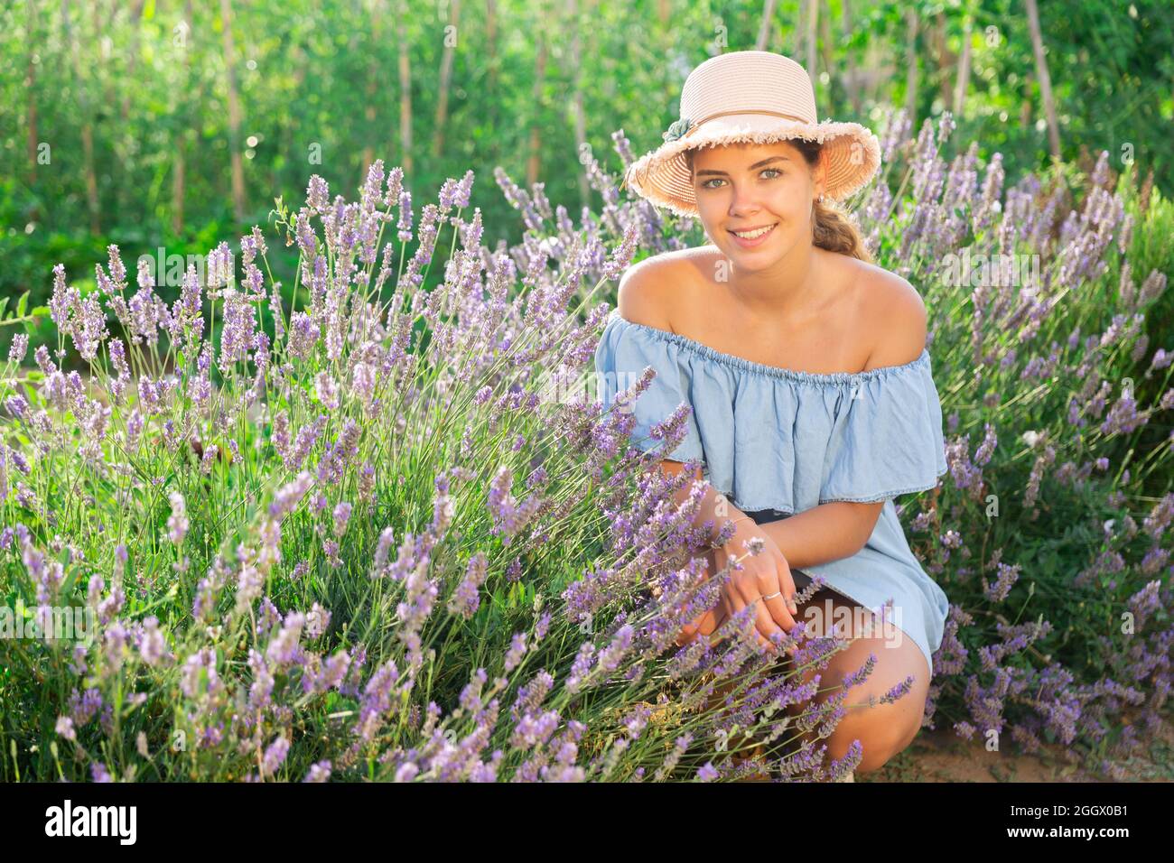 Young lady squatting beside lavender shrub Stock Photo - Alamy
