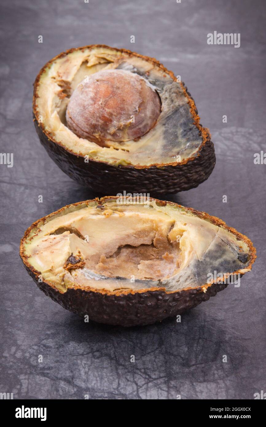 Two halves of an avocado with mold on dark wooden background. Unhealthy ...