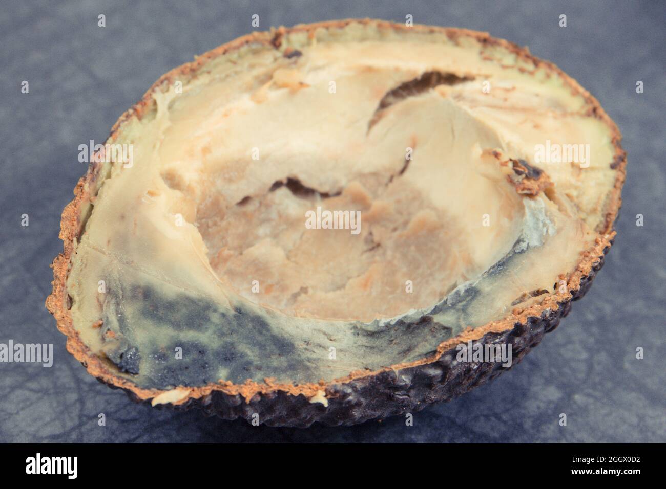 Inedible avocado with mold on dark wooden background. Unhealthy food ...