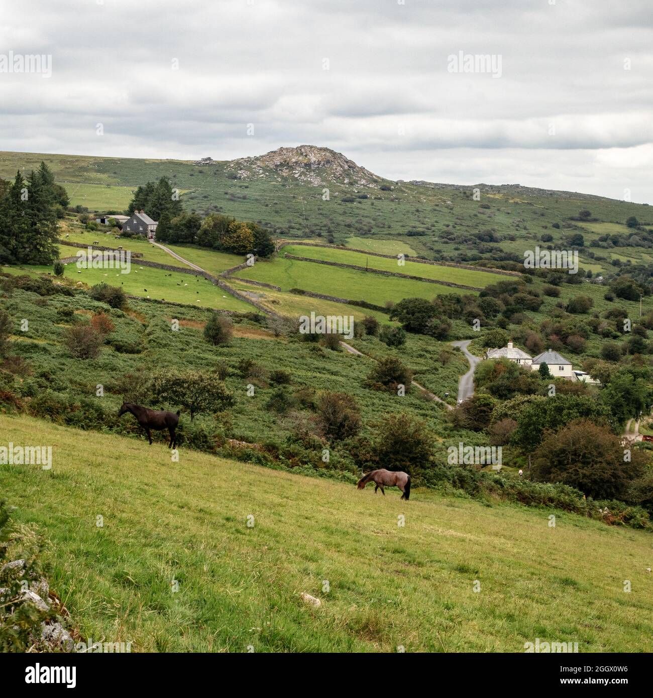 Sharp Tor Bodmin Moor Cornwall Stock Photo - Alamy